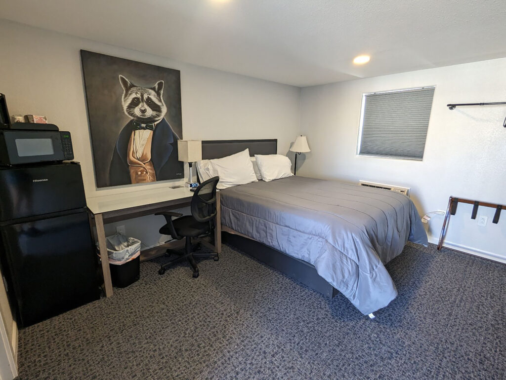 Deluxe Single | Snowy Mountain Inn